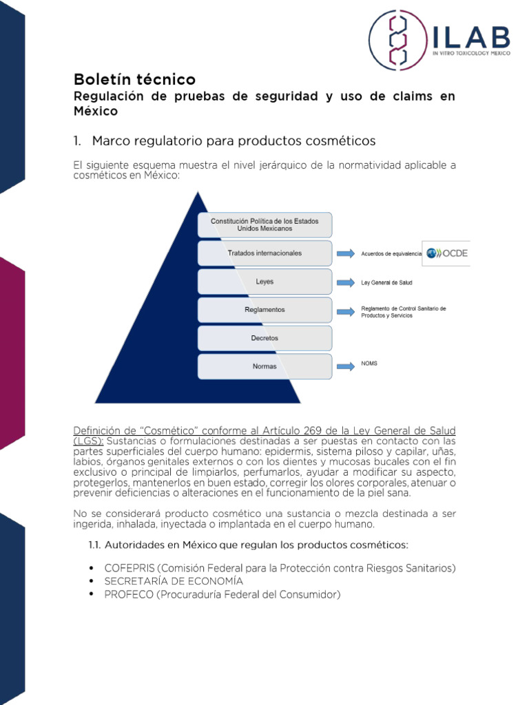 Boletin ILAB - Claims y Pruebas de Seguridad México - Rev0 - Compressed | PDF