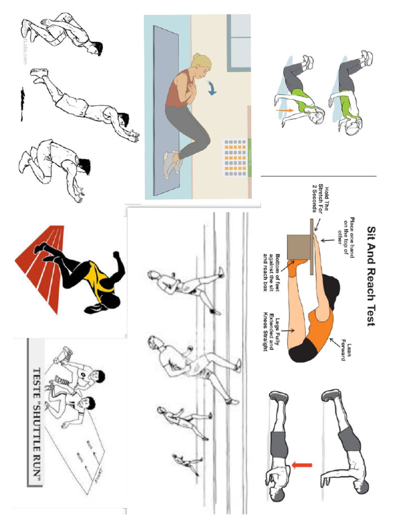 Create Online Photo Collages | PDF