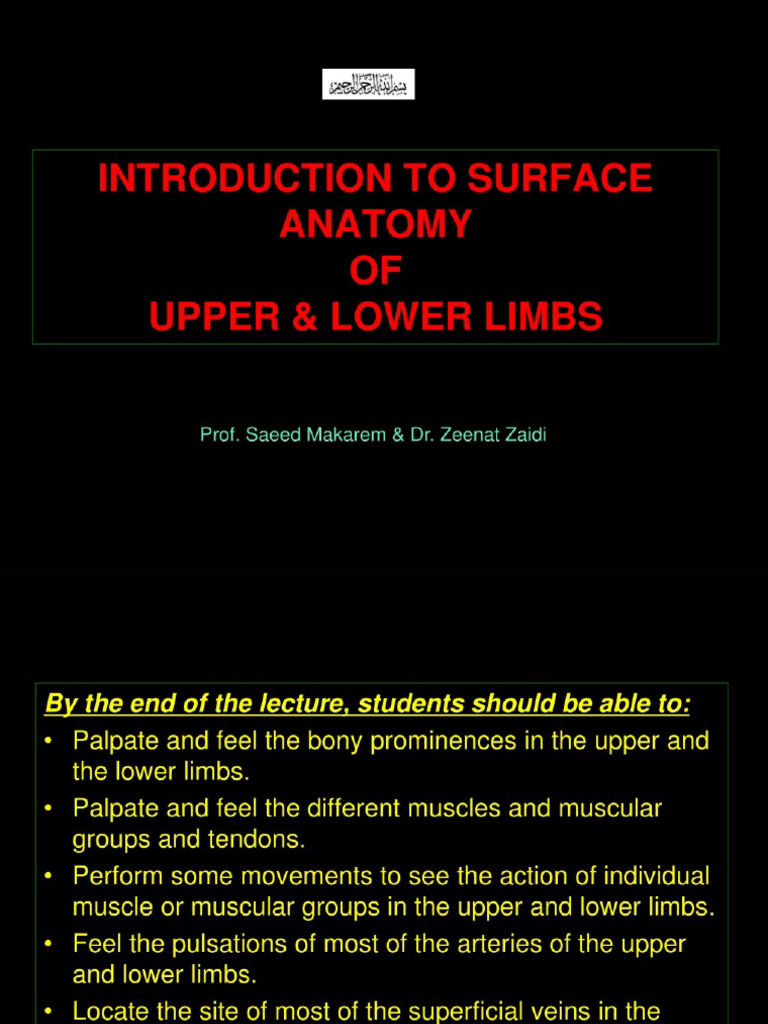 Surface Marking of Upper Limb | PDF