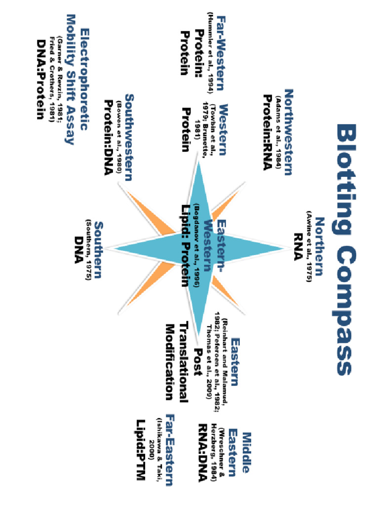 Blotting Compass | PDF