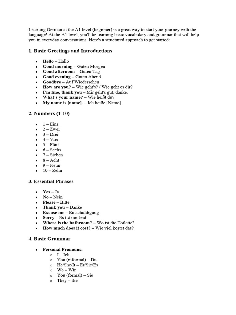 Beginner's Guide to German A1 Level | PDF | Linguistics | Grammar