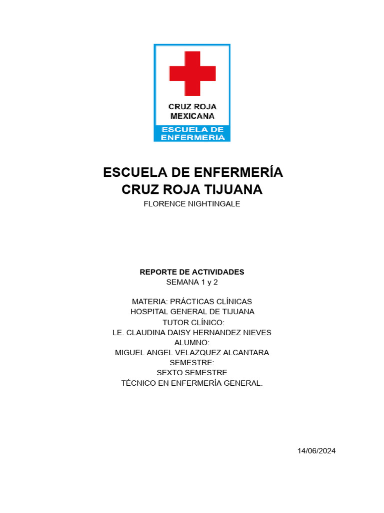 Informe HGT | PDF | Hospital | Enfermería