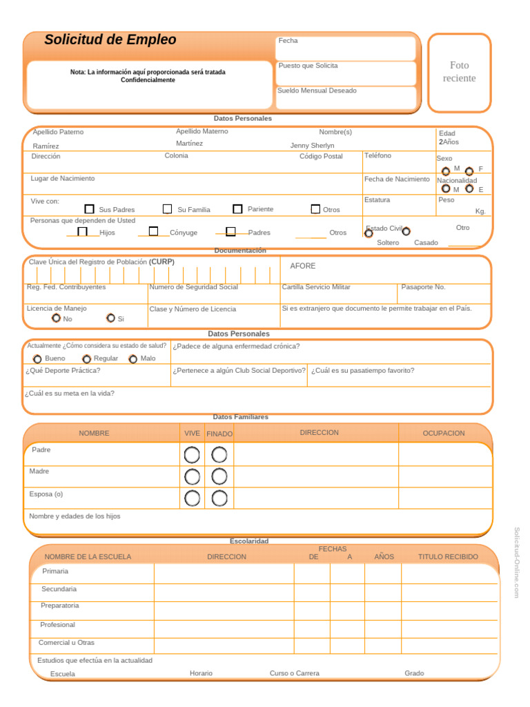Solicitud de Empleo Bonita Editable PC | PDF