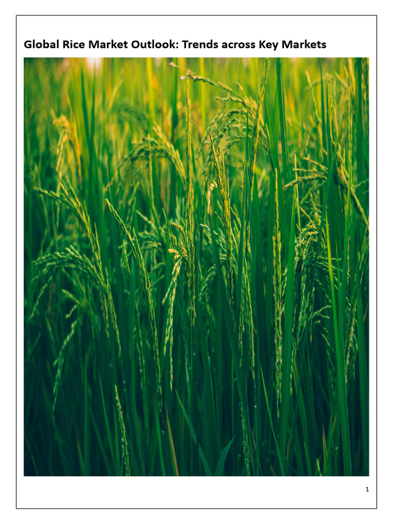 Global Rice Market Report | PDF | Rice | Agriculture
