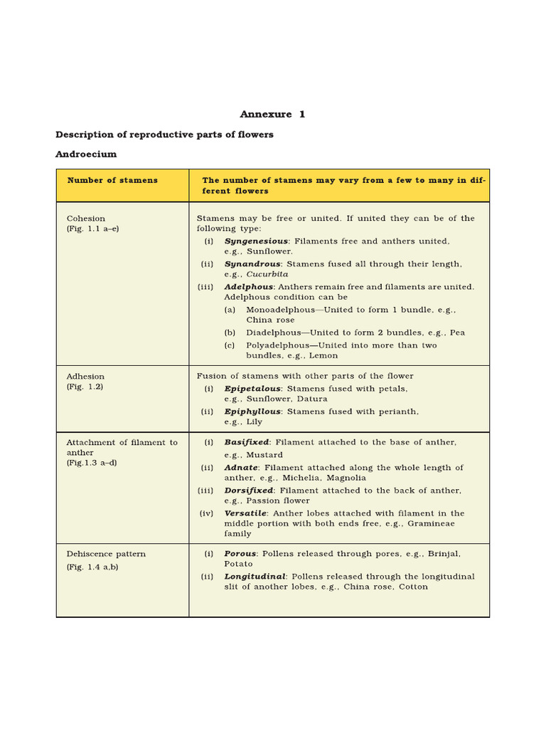 Class 12 | PDF