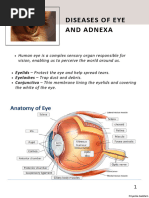 ICD-10 Codes for Eye Foreign Bodies | PDF | Medicine | Human Eye
