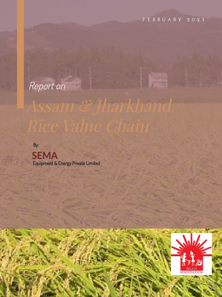 Report Rice Value Chain Assam Jharkhand 01-05-2023 Merged | PDF | Rice ...