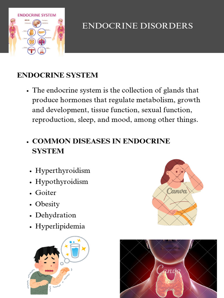 Overview of Common Endocrine Disorders | PDF | Thyroid | Obesity