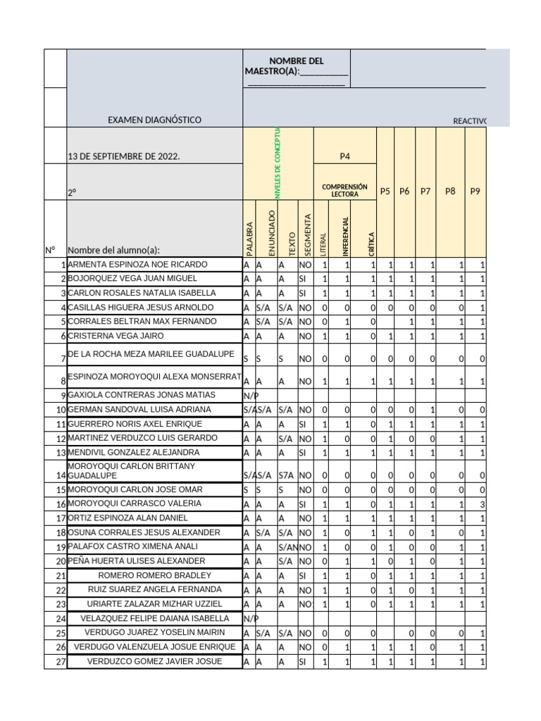 Concentrado Diagnostico 2 Excel. Ok | PDF