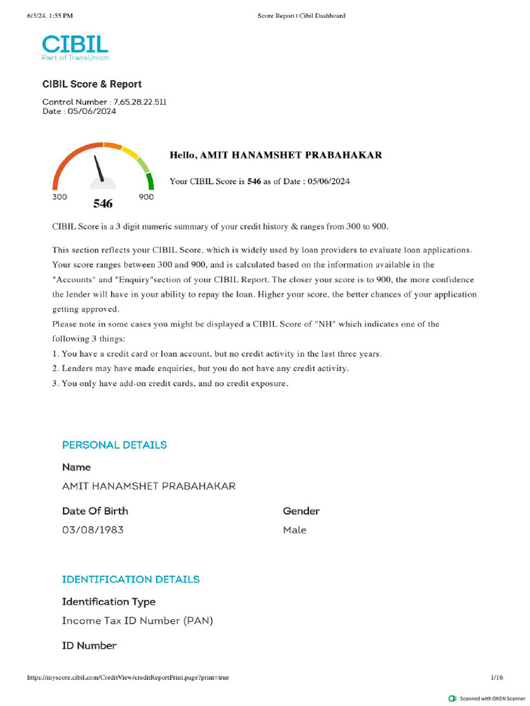 Amit Score Report - Cibil Dashboard | PDF