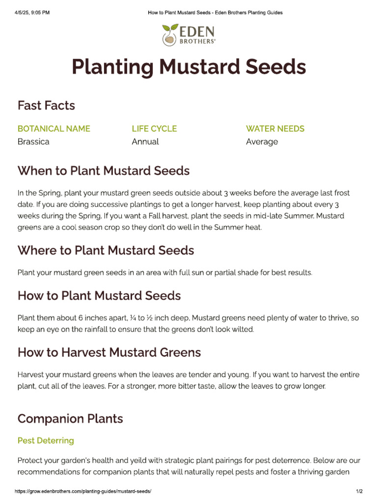 Planting Mustard Seeds | PDF