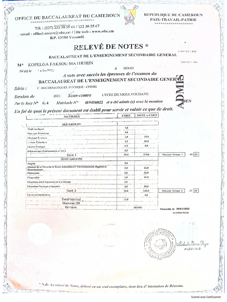 Relevé de Notes Kopelstat | PDF