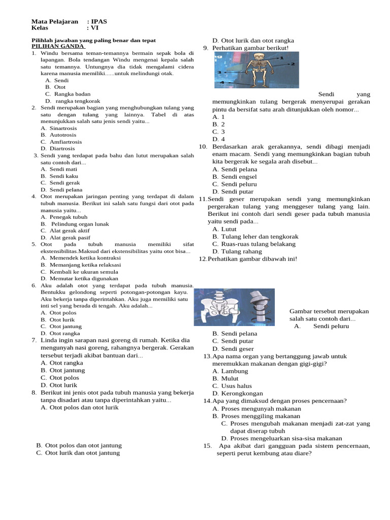 Asts Ipas Kelas Vi | PDF