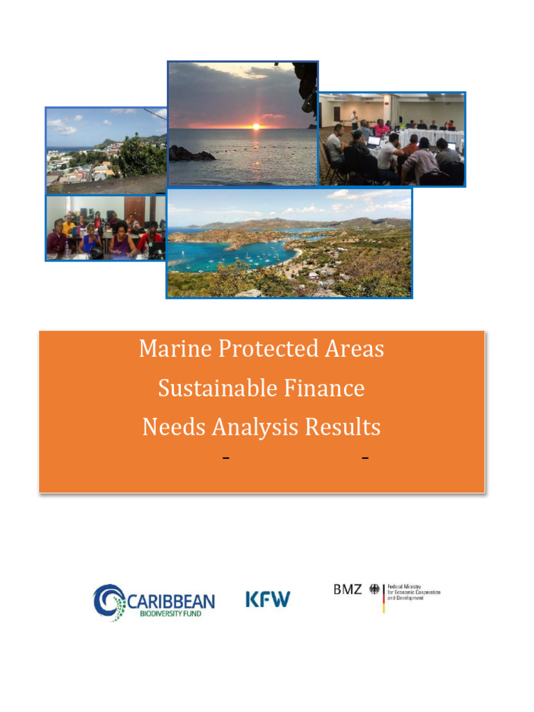 EC Sustainable Finance Needs Analysis Final Report | PDF