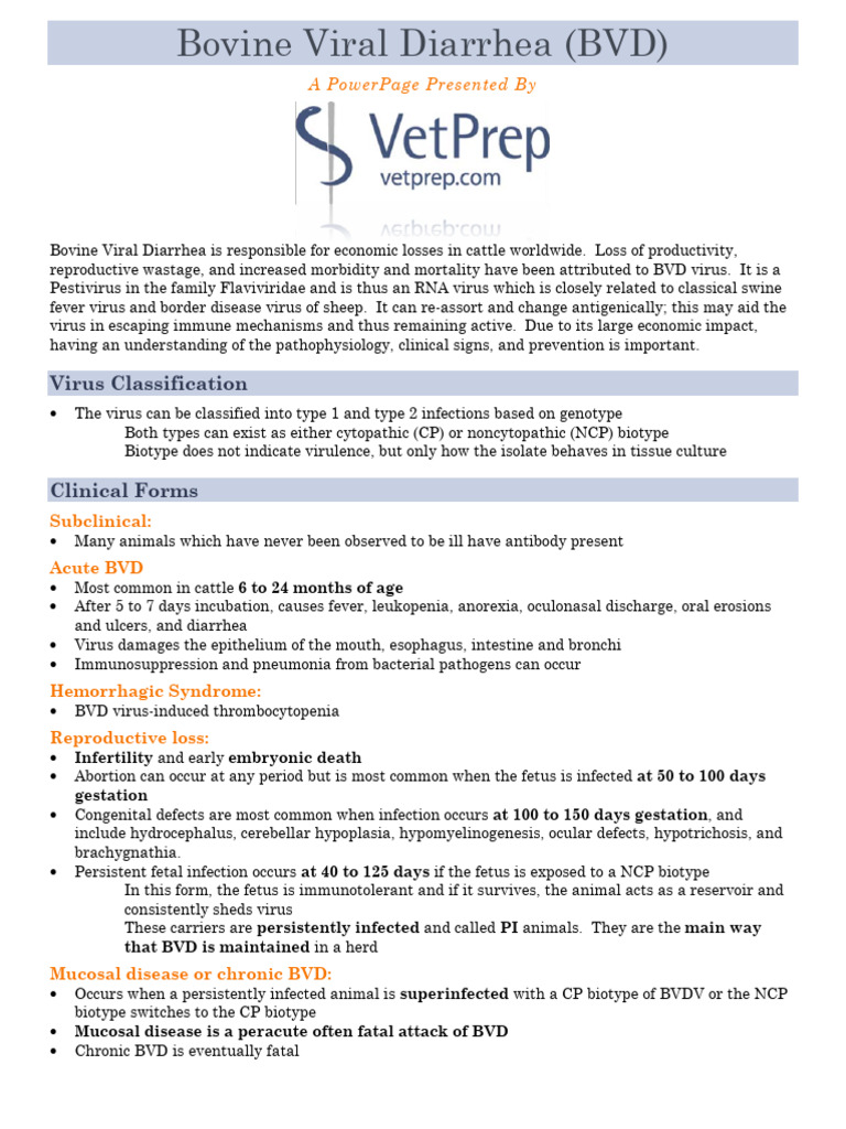 Bovine Viral Diarrhea (BVD) | PDF | Animal Diseases | Virus