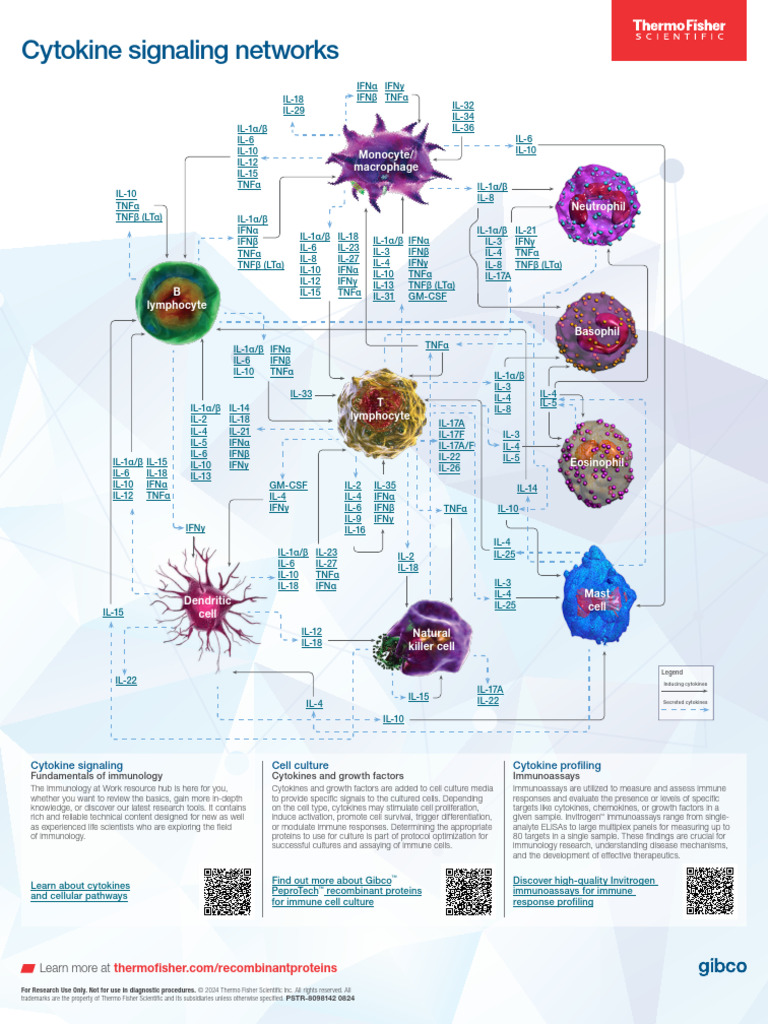 Cytokine Signaling Networks Poster | PDF | Interleukin 10 | Interleukin 8