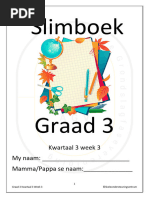 Afrikaans Grade 7 Ontkenning Vorm | PDF