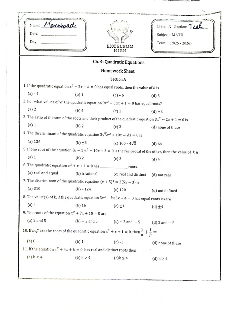 Maths CH4 HWS | PDF