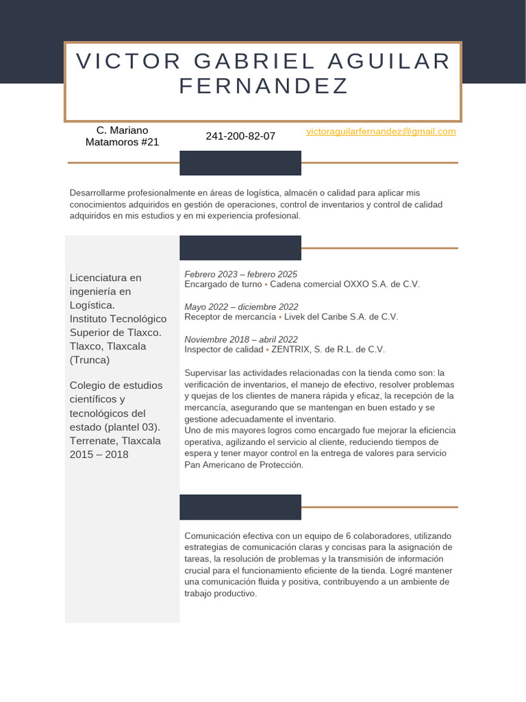 CV Victor Gabriel Aguilar Fernandez | PDF