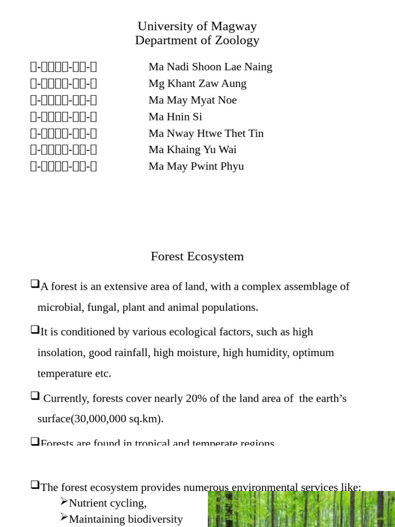 Presentation forest ecosystem | PDF | Forests | Ecosystem