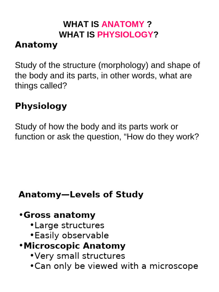 Organisation of Human Body | PDF | Human Body | Tissue (Biology)