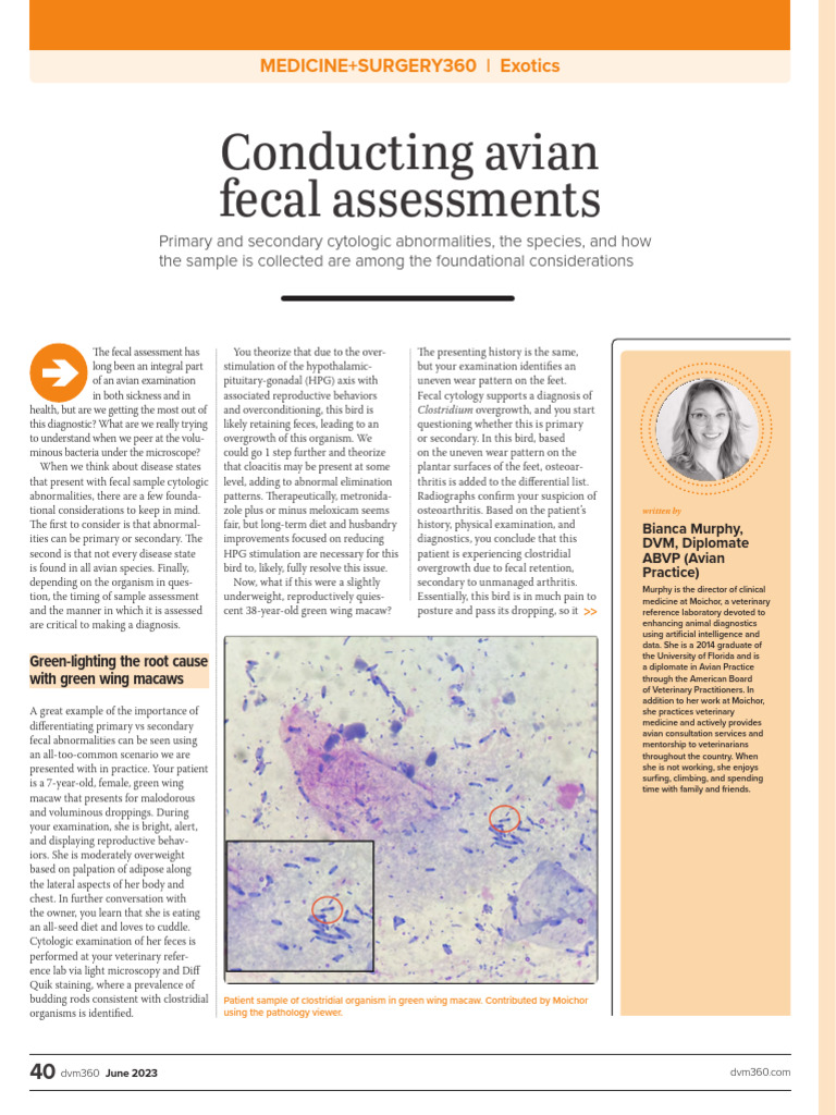 Conducting Avian Fecal Assessments | PDF | Medical Diagnosis | Medical ...