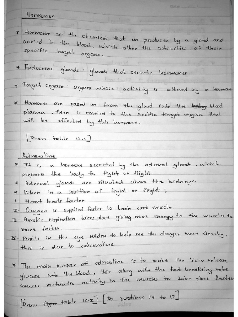 Ilovepdf Merged Compressed | PDF