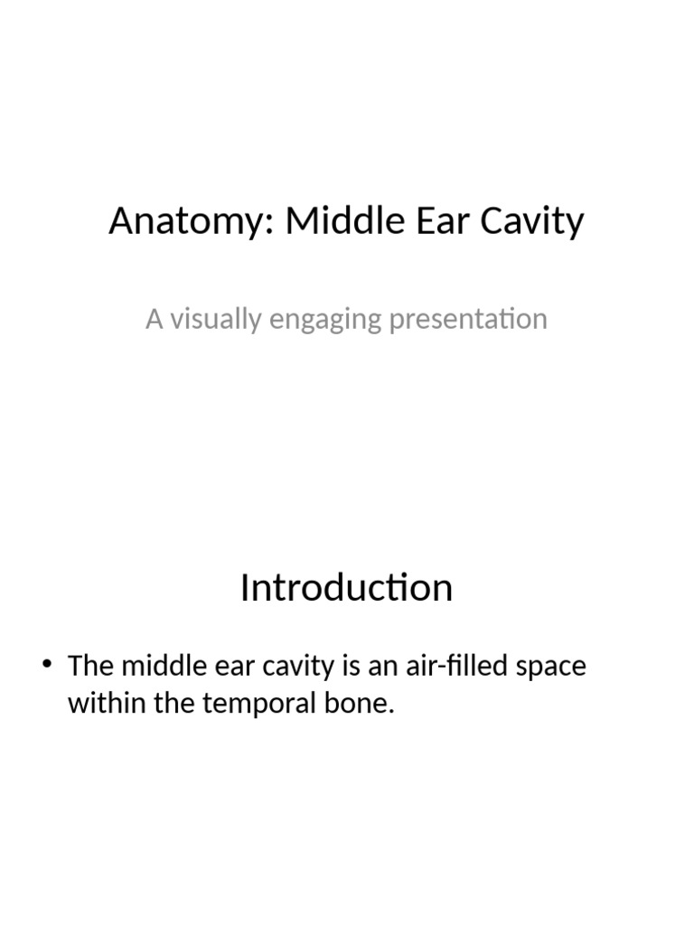 Anatomy Middle Ear Cavity | PDF