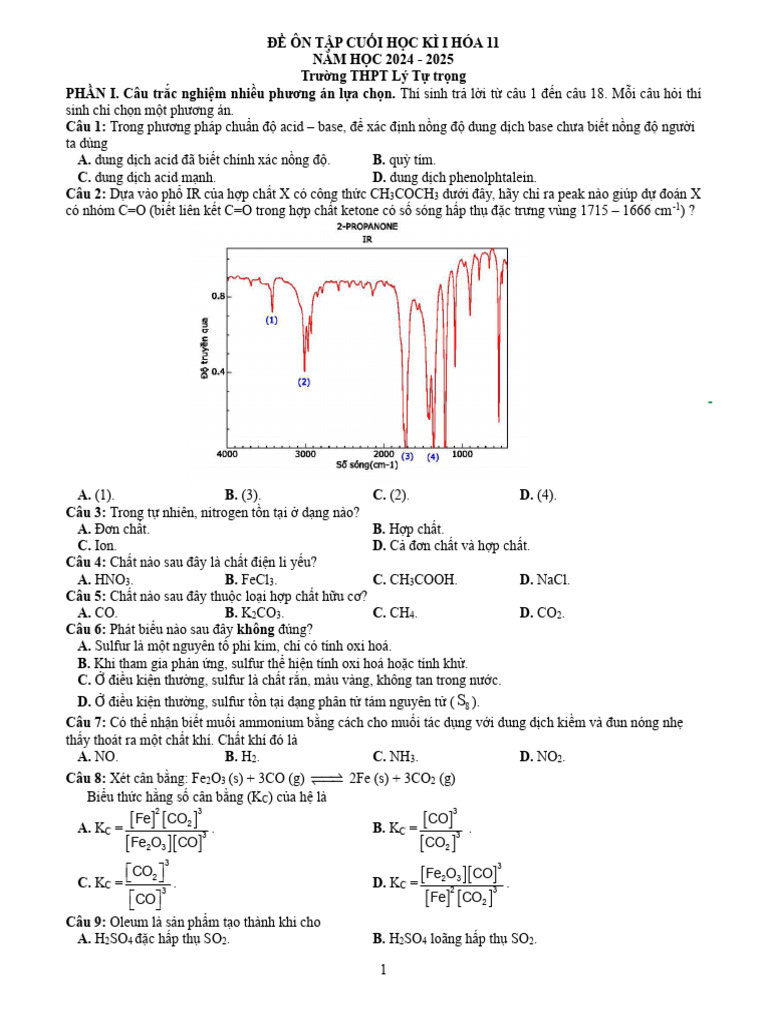 ôn tập chk1 hóa 11-2 | PDF