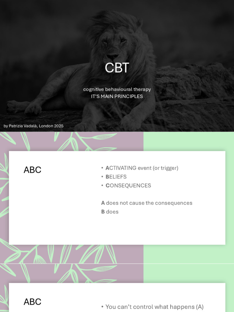 CBT, Cognitibe Behavioural Therapy, Main Simple Principles | PDF