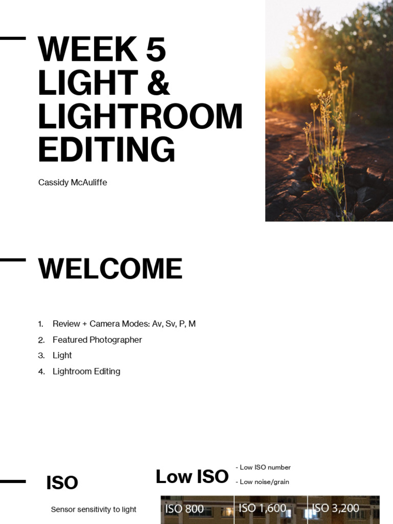Mastering Light and Lightroom Editing | PDF | Exposure (Photography ...