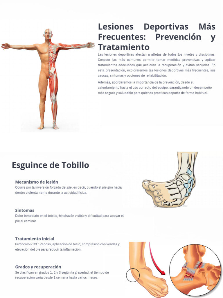 Lesiones de Rodilla Ligamento Cruzado Anterior (LCA) | PDF | Rodilla ...