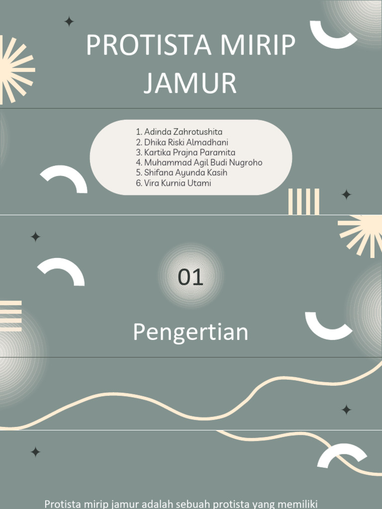 Protista Mirip Jamur | PDF