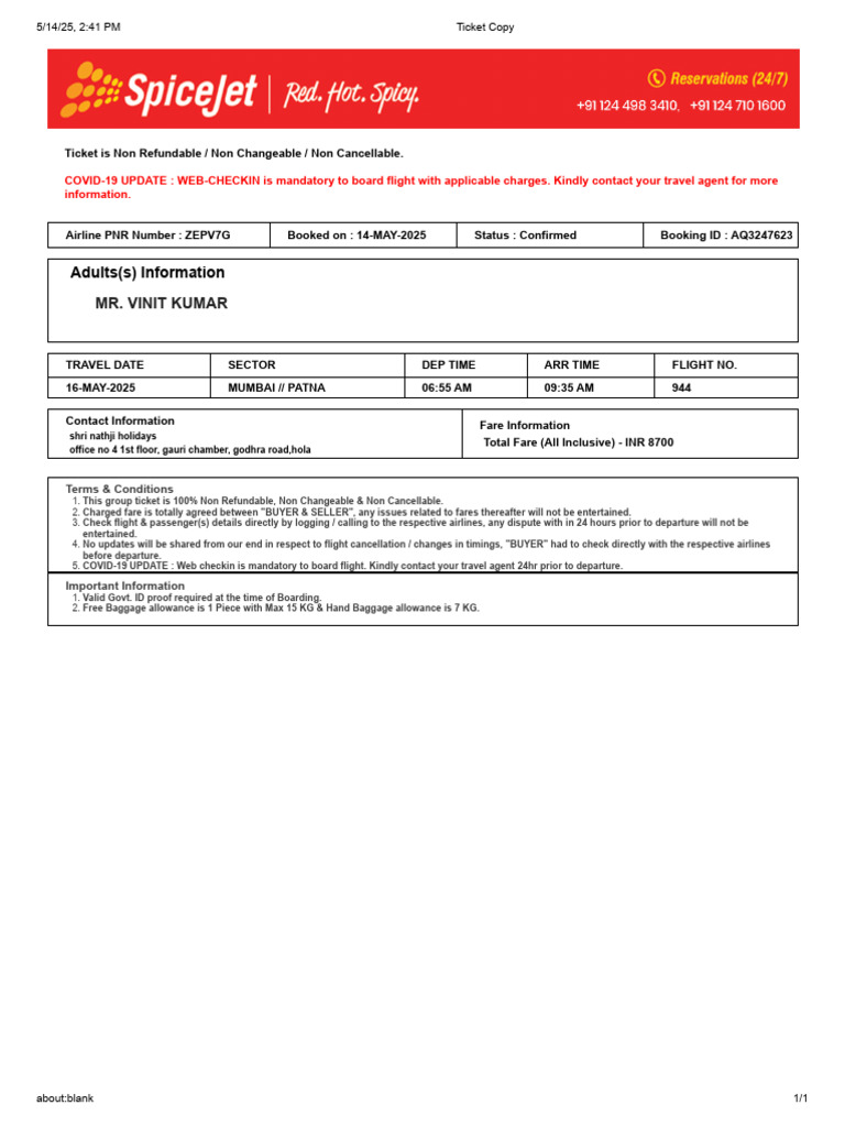 Flight Ticket | PDF