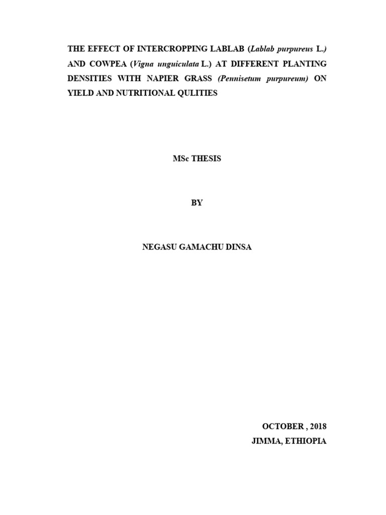Negasu Gamachu MSc thesis | PDF | Legume | Soil