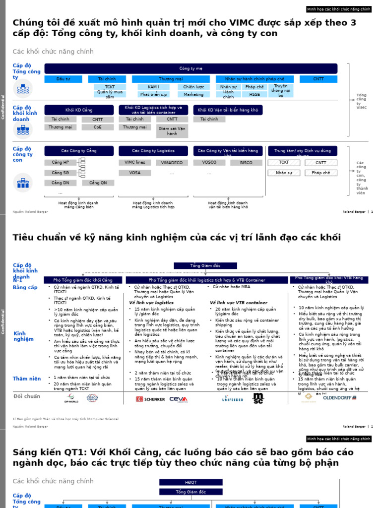 VIMC Governance Key Roles v2 | PDF