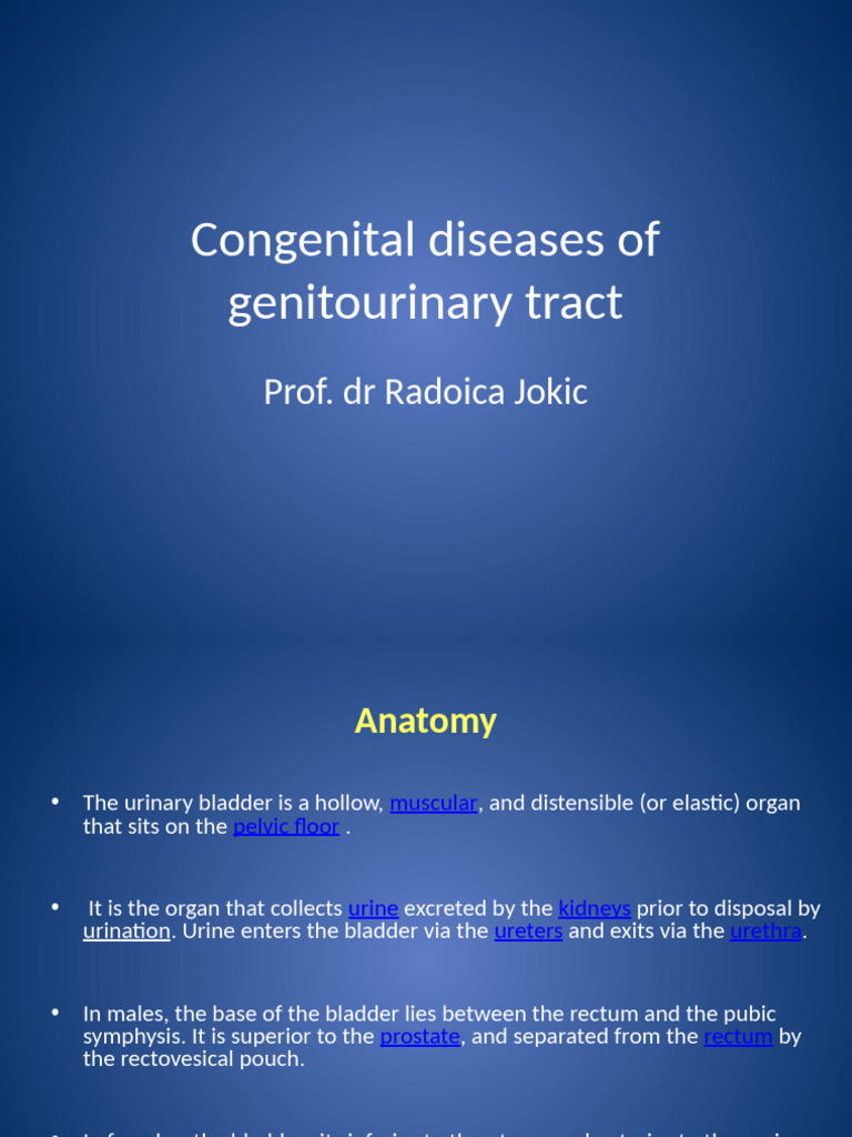 Congenital Diseases of Genitourinary Tract | PDF | Urological ...