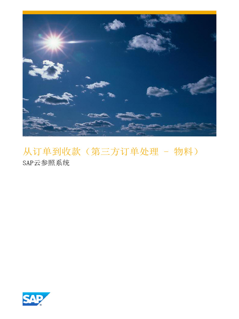 05 Order To Cash Third Party Order Processing Material ZH CN P BPP | PDF