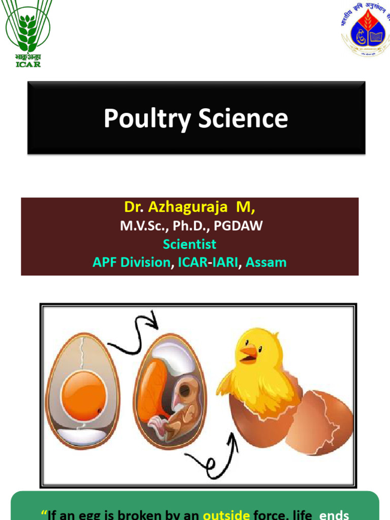Poultry - Classification - 1 | PDF | Poultry | Chicken