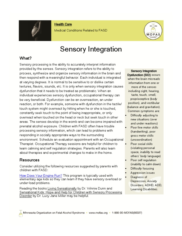 Sensory Integration PDF | PDF | Senses | Somatosensory System
