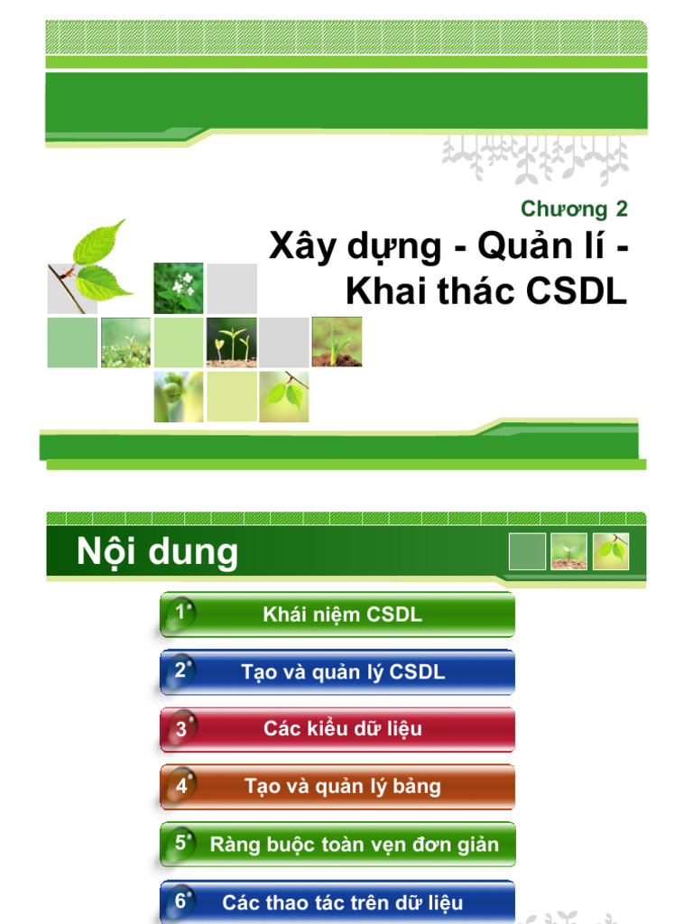 Chuong2 - Xay Dung - Quan Li - Khai Thac CSDL | PDF