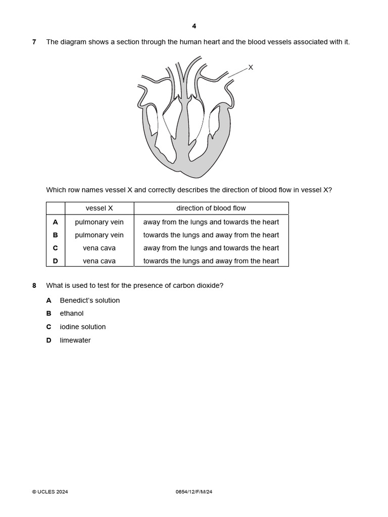 Question 1 Multiple Choice | PDF