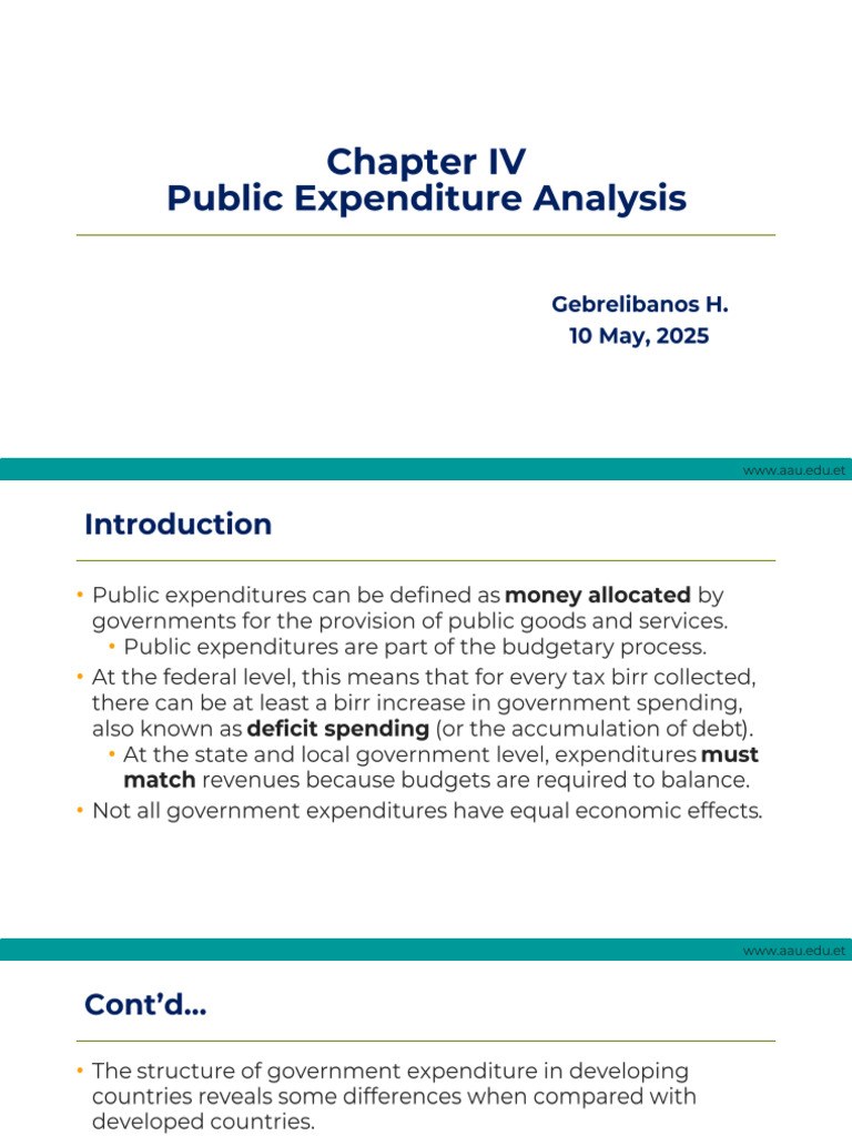Understanding Public Expenditures Dynamics | PDF