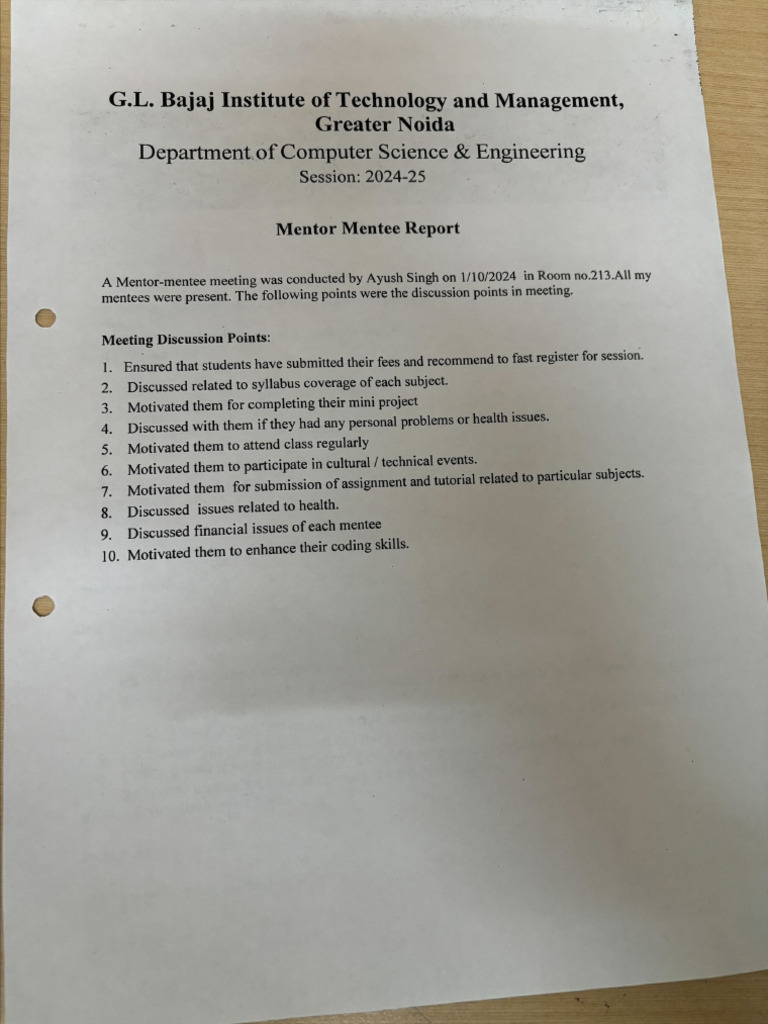 2nd Year Mentorship Report | PDF