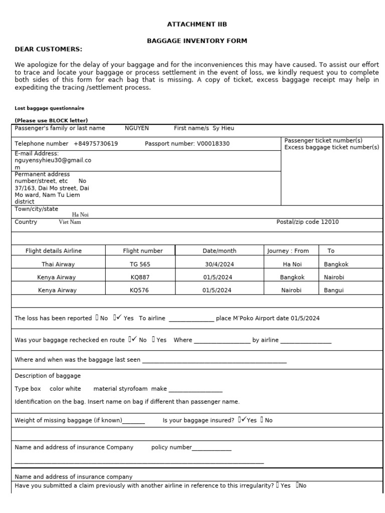 Baggage Inventory Form | PDF | Aviation