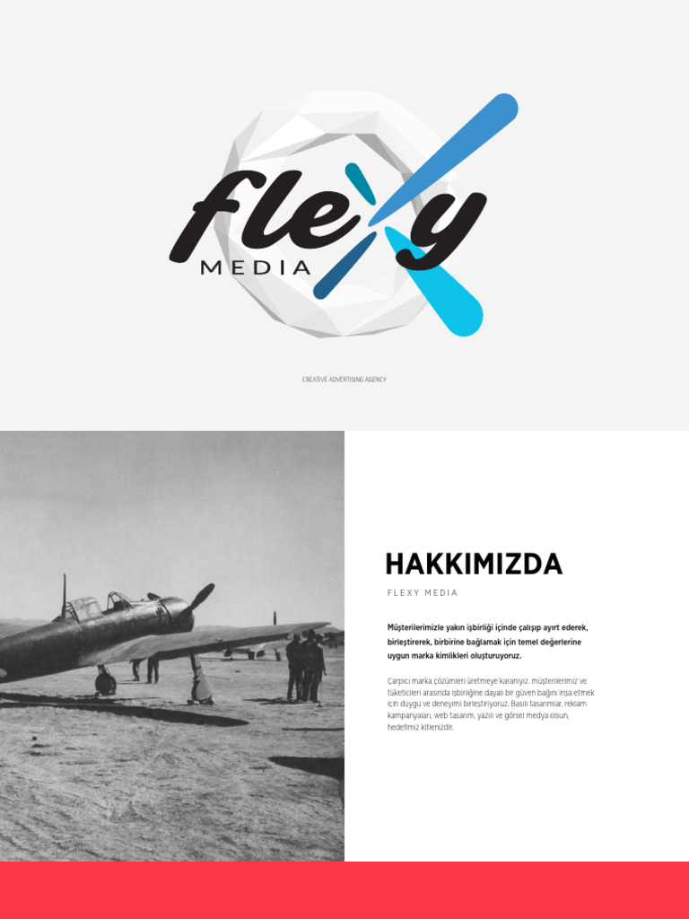 FlexyMedia Presentation | PDF