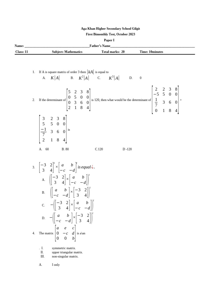 Mathematics Test Paper for Class 11 | PDF | Mathematics | Matrix Theory