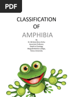 Axolotl Taxonomy | PDF