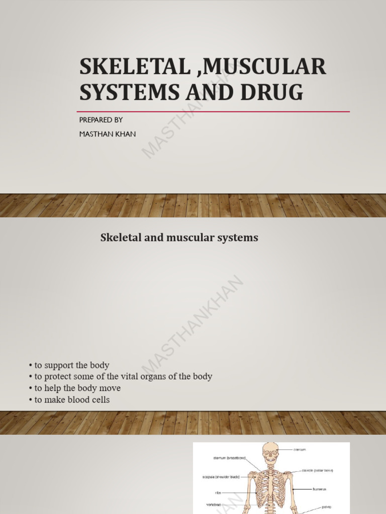 Skeletal, Muscular Systems and Drug Masthan Khan | PDF | Skeleton ...