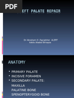 Cheiloplasty and Palatoplasty Overview | PDF | Lip | Face